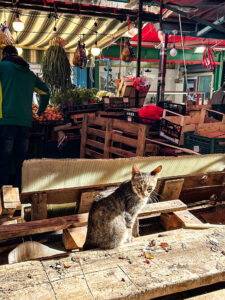 A market lover’s guide to Palermo, Sicily - Where is the market?